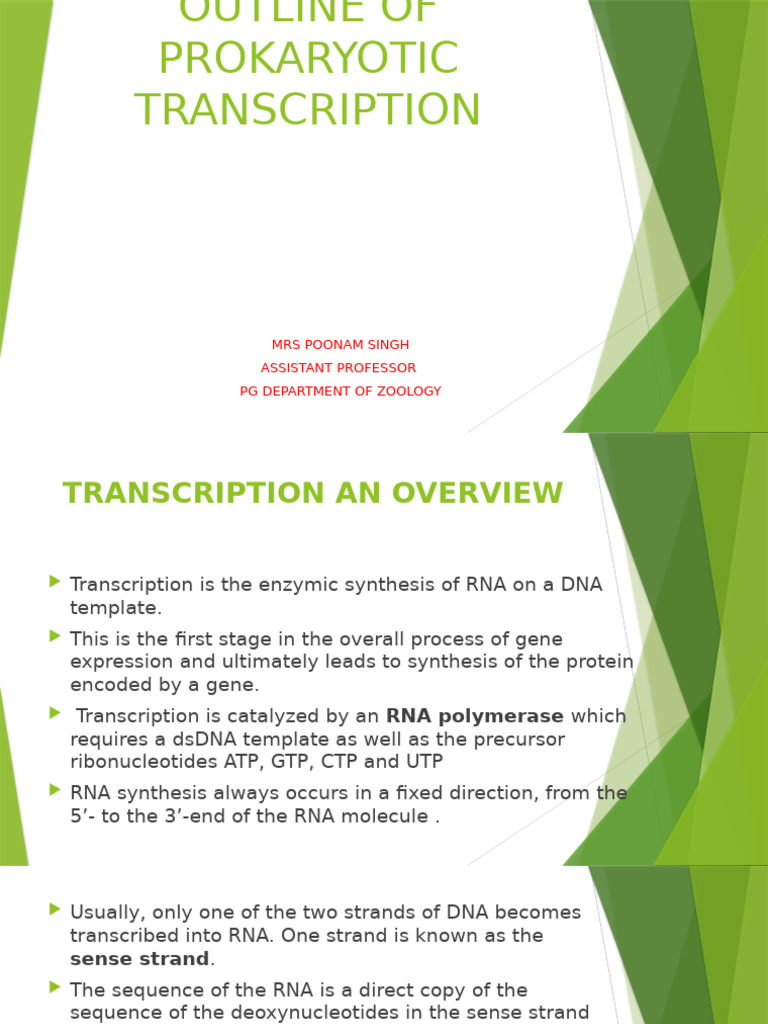 Outline of Prokaryotic Replication | PDF | Promoter (Genetics) | Rna