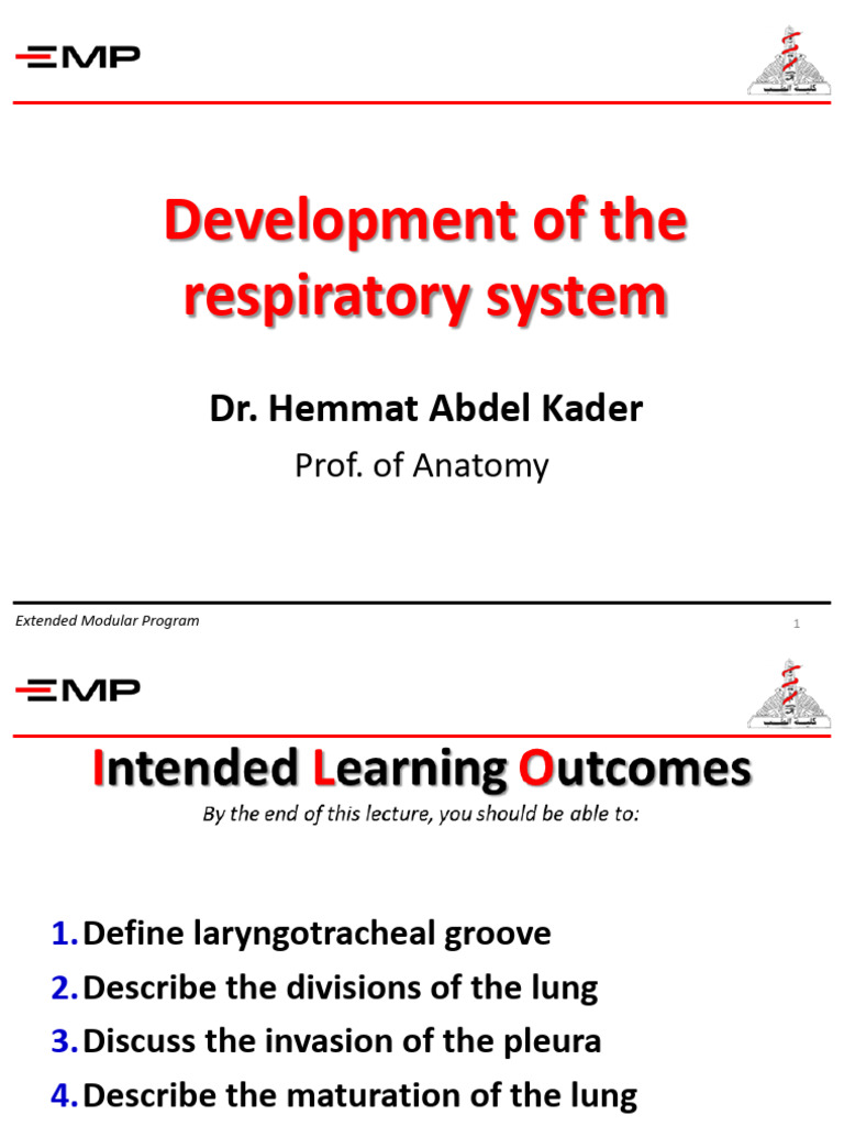 Respiratory System Development Overview | PDF | Respiratory Tract | Lung