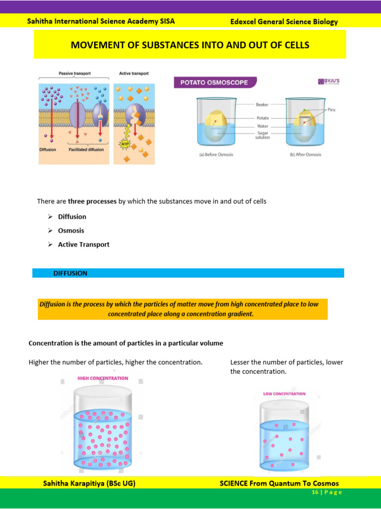Cell Transport Mechanisms Explained | PDF | Osmosis | Diffusion