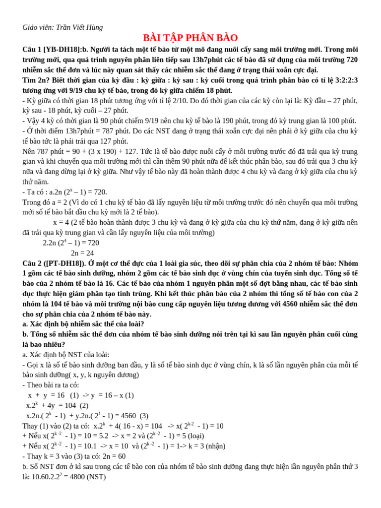 Bai Tap Phan Bao Print | PDF