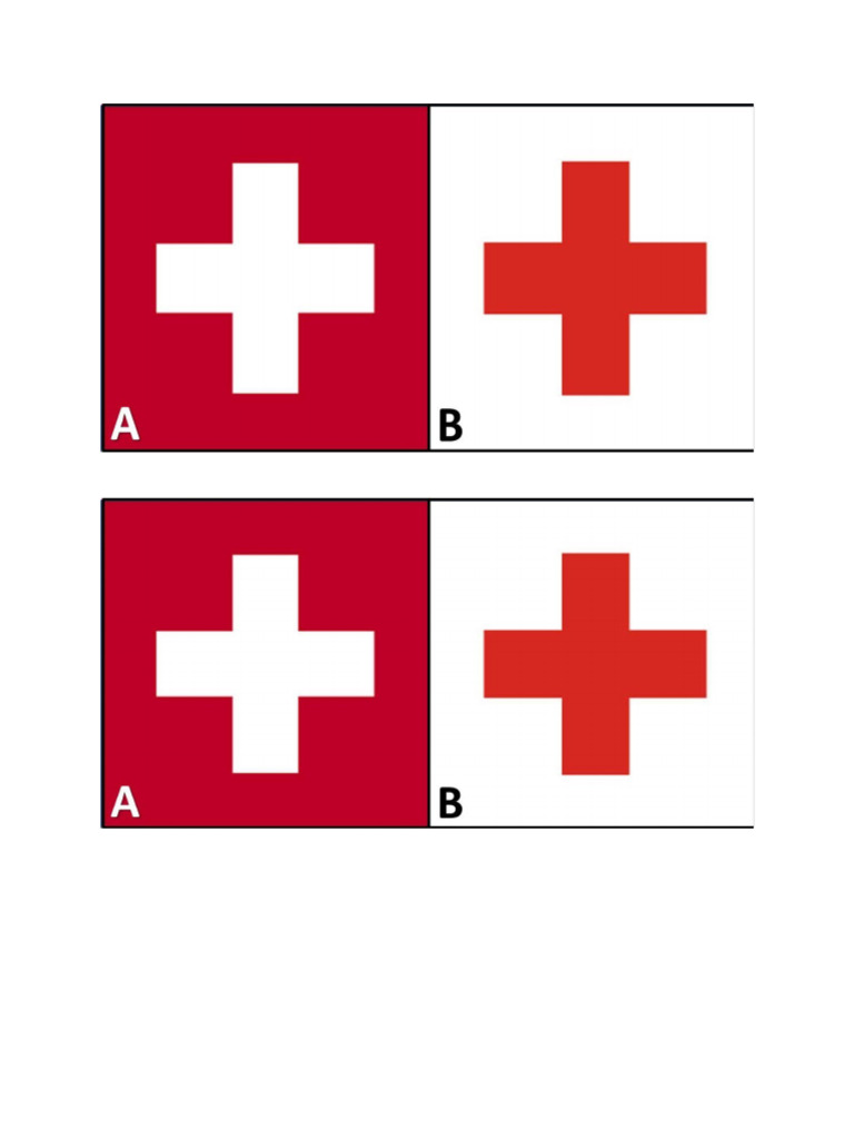Red Cross | PDF