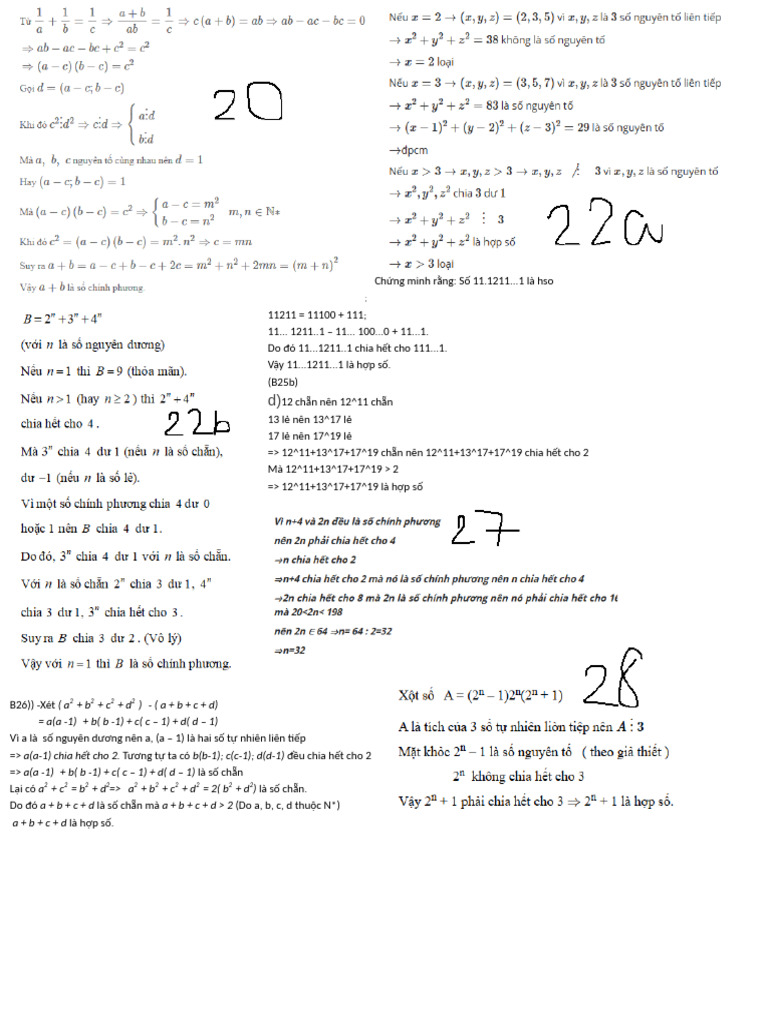 Giải SNT (1) | PDF