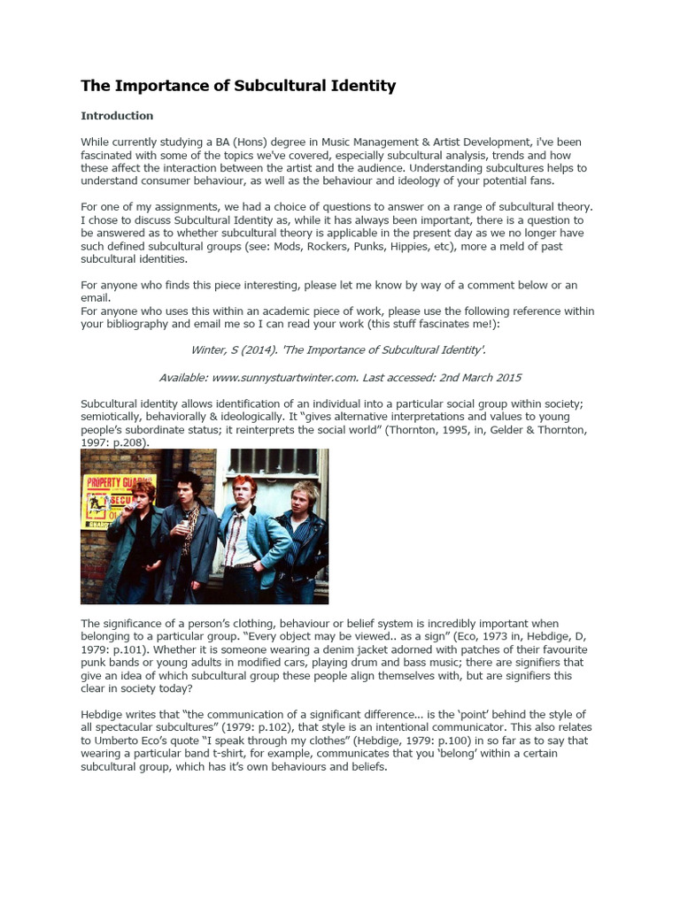 the_importance_of_subcultural_identity | PDF | Consumerism