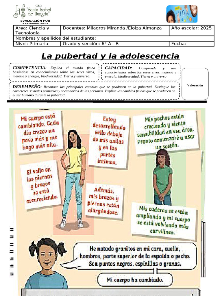 Cambios en la Pubertad y Adolescencia | PDF