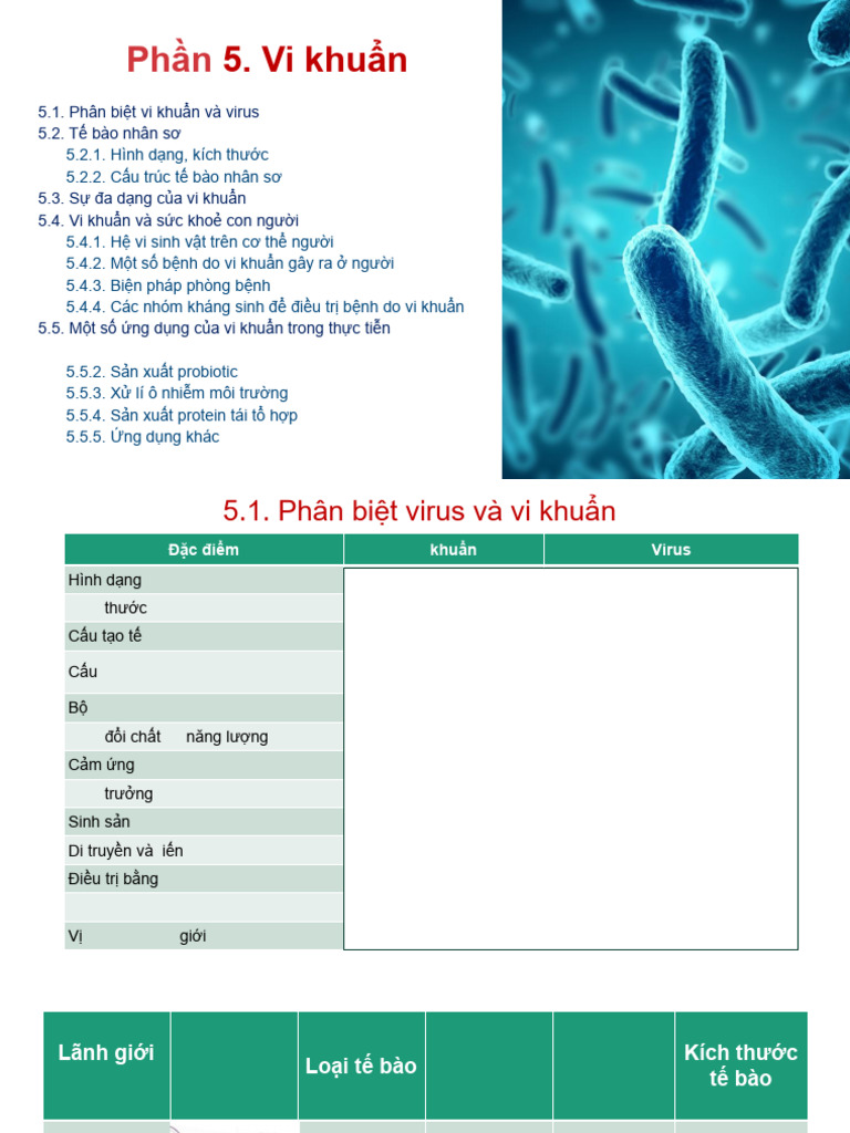 Phan 5 Vi Khuan Gui SV | PDF