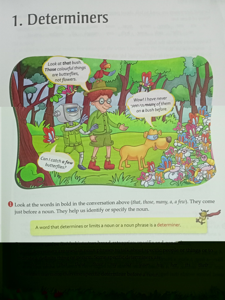 Chapter 1 - Determiners PDF | PDF