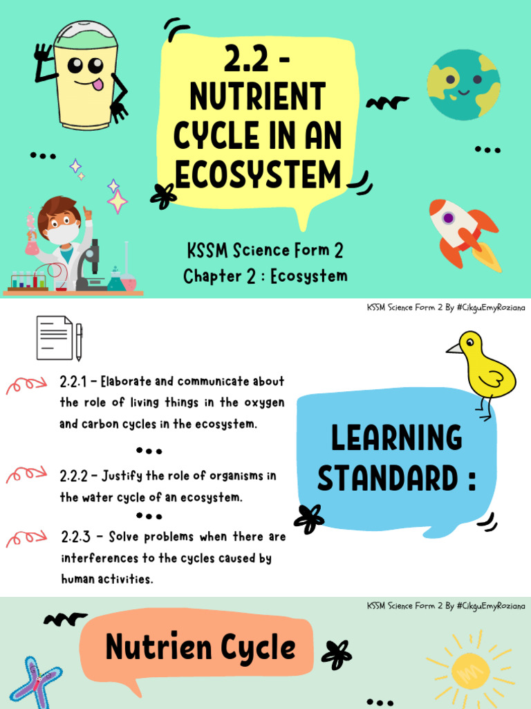 2.2 - Nutrient Cycle in an Ecosystem | PDF | Ecosystem | Soil