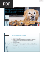 Protocolo XABCDE Do Trauma | PDF | Morte | Sangramento