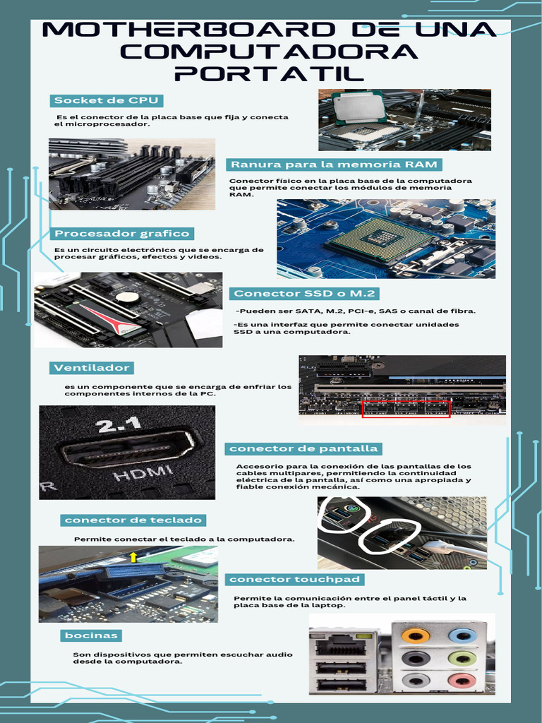 Infografía Informática y Tecnología Informativa Ilustrada Verde y Gris ...