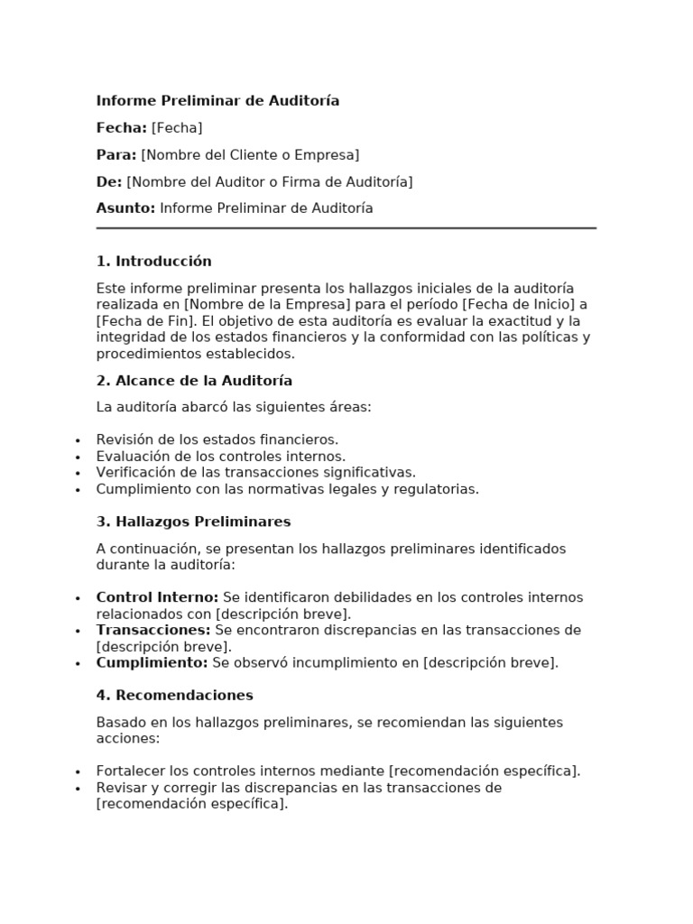 Informe Preliminar de Auditoría | PDF | Auditoría | Planificación