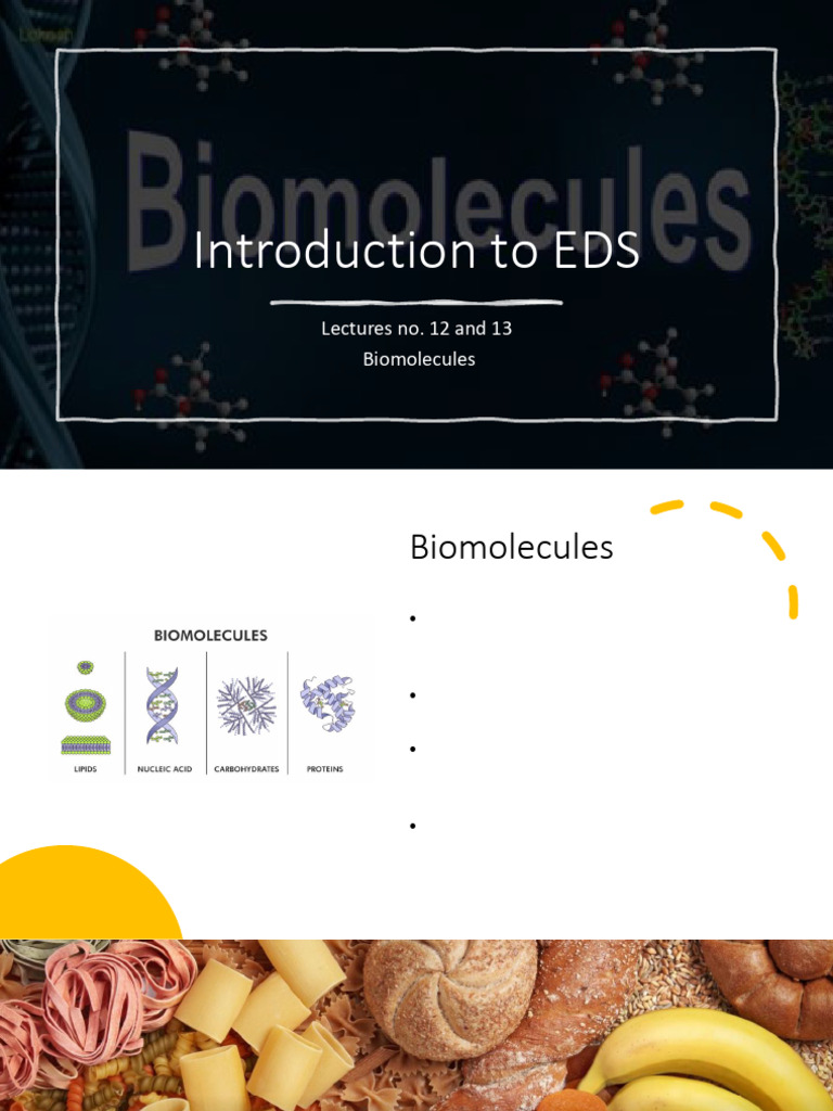 Overview of Biomolecules and Their Functions | PDF | Carbohydrates ...