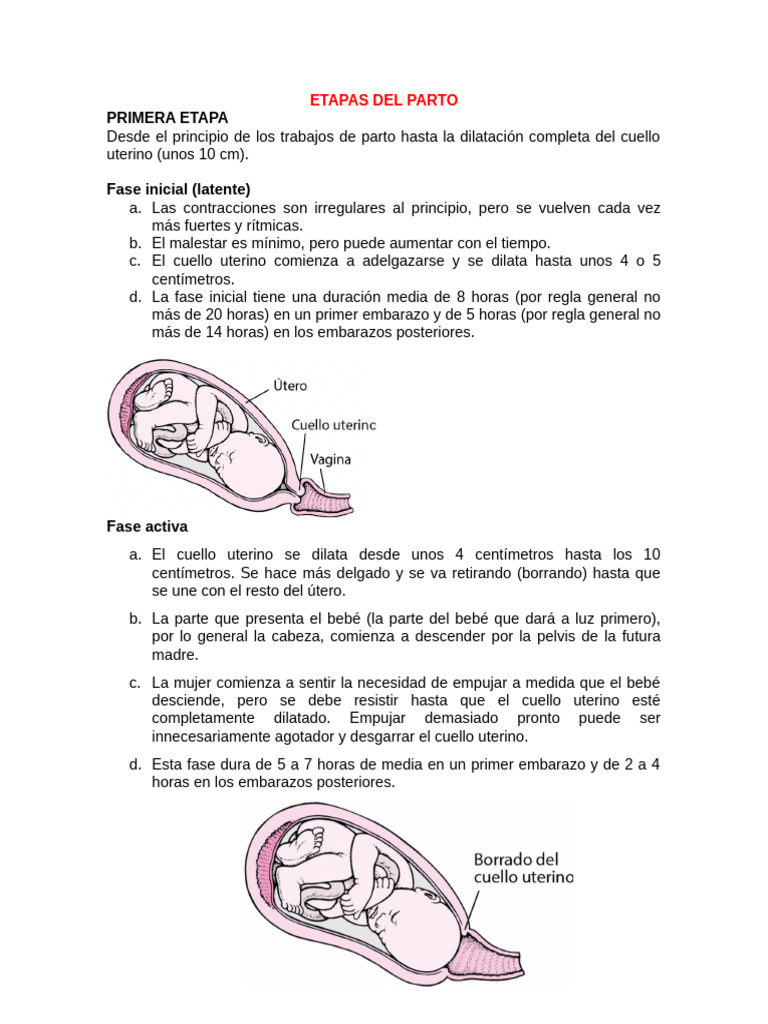 Etapas Del Parto | PDF | Parto | El embarazo