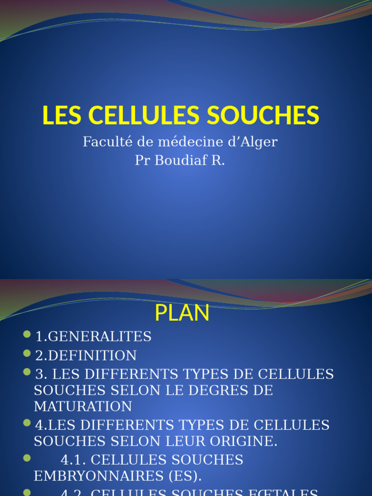 13 - Les Cellules Souches | PDF | Cellule souche | Cellule souche ...