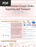 Building Pangaea Gizmo ANSWERS | PDF | Earth Sciences | Geology