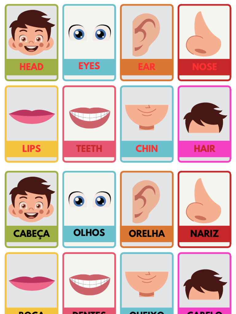 Science Parts of The Body Flashcards in Colorful Illustrative Style | PDF