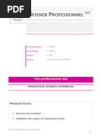 Dossier Professionnel : Modèle Word 2024 | PDF | Mise en page ...