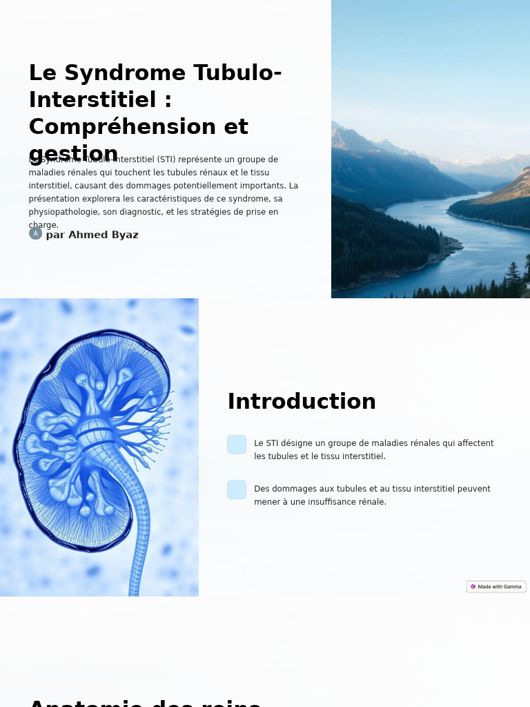 Le Syndrome Tubulo Interstitiel Comprehension Et Gestion | PDF | Rein ...