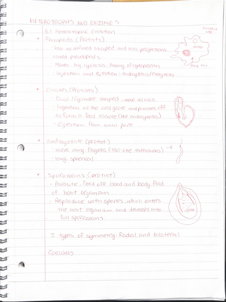 Ap Bio Unit 5 Self Guided Notes | PDF