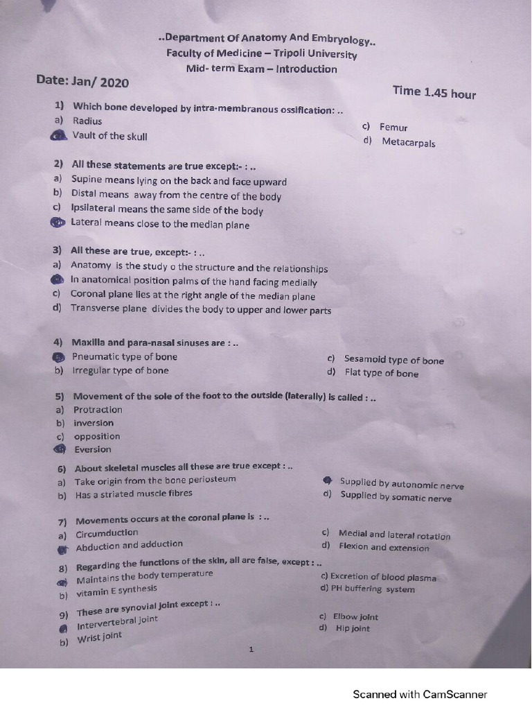 2020-1 Midterm | PDF