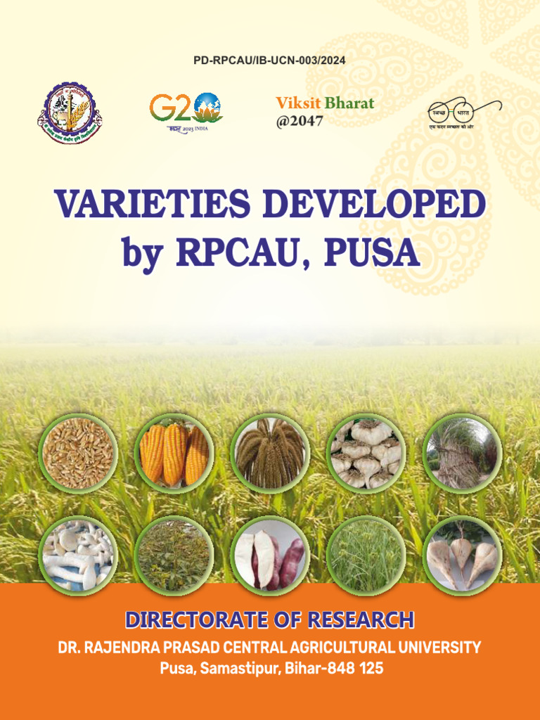 Varieties Developed by Rpcau Pusa Final | PDF | Maize | Wheat