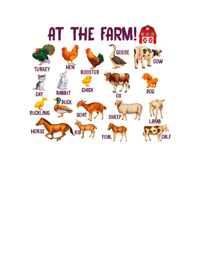 Animales de La Granja | PDF