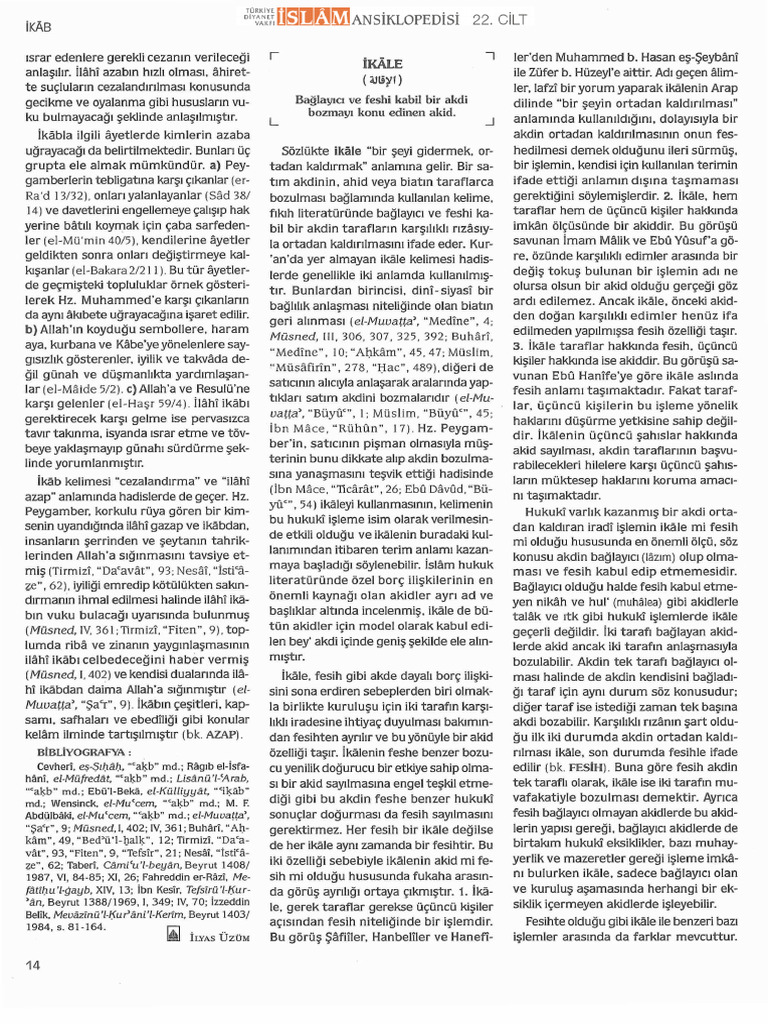 TDV DİA İkale Kavramı | PDF