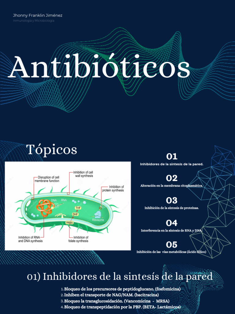 Antióticos - Micro e Inmuno | PDF | Penicilina | Antibióticos