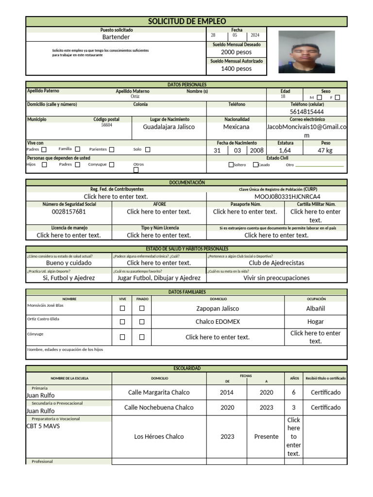 Formato Solicitud de Empleo (1) .Docx 22222 | PDF