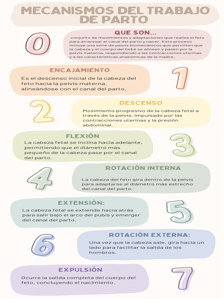 Infografía Fases Del Trabajo de Parto | PDF