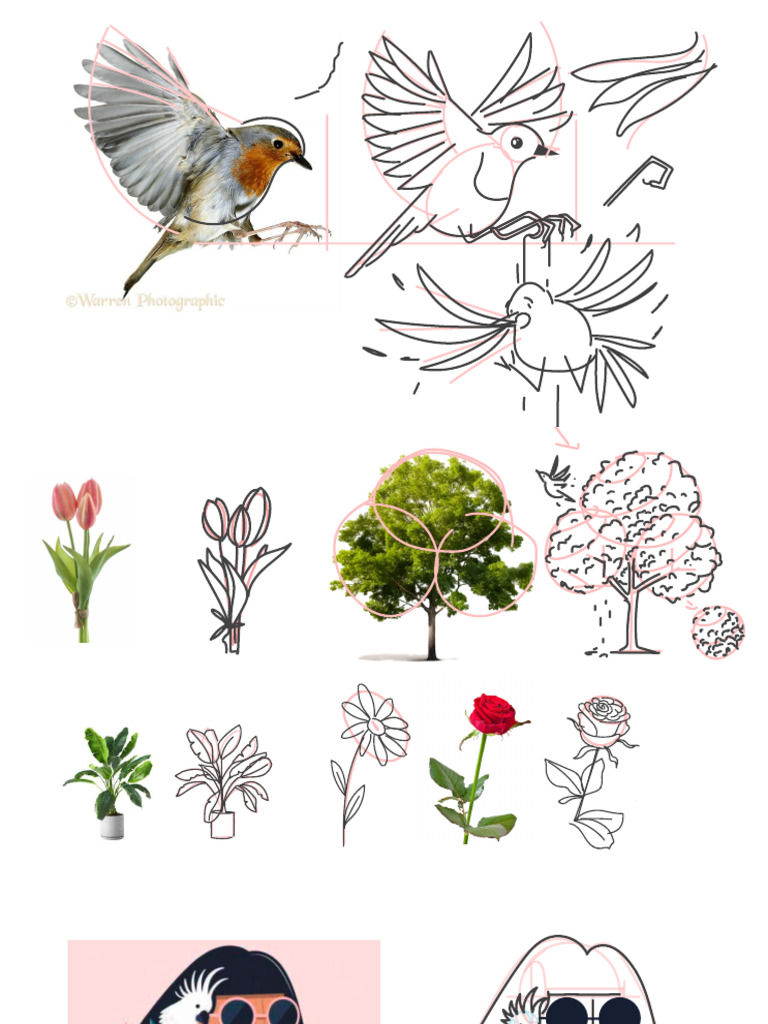 Repaso Aspectos Dibujo | PDF