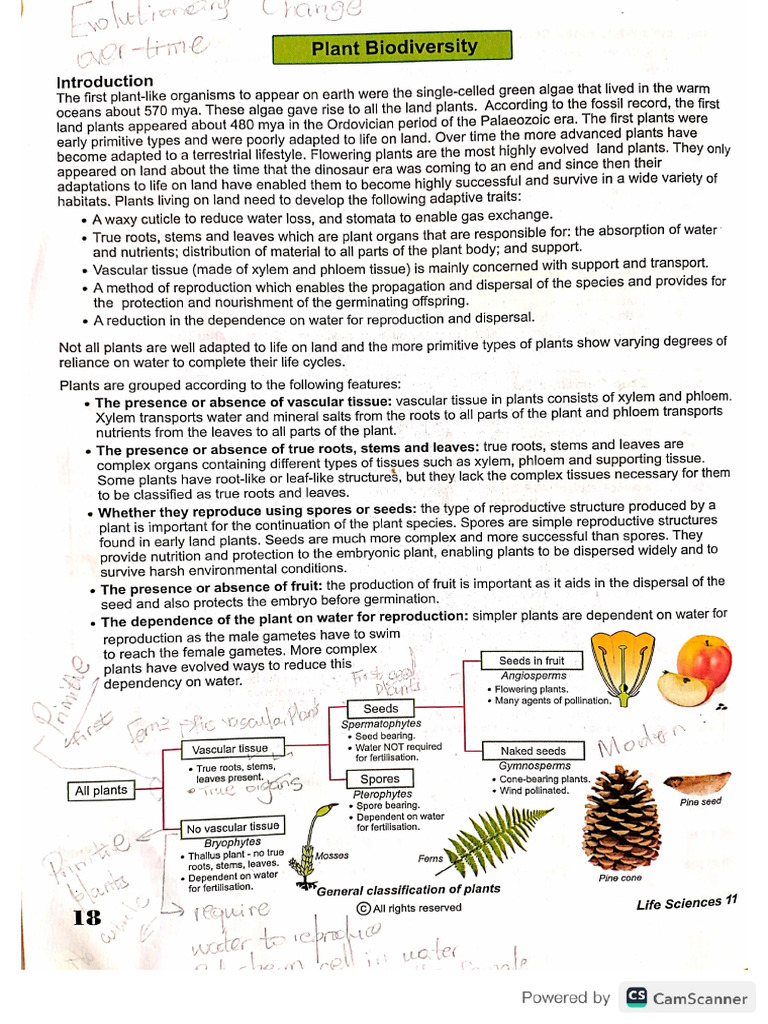Life Science Grade 11 Plant Biodiversity | PDF