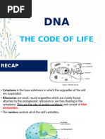 DNA (The Code of Life) - 1 | PDF | Translation (Biology) | Rna