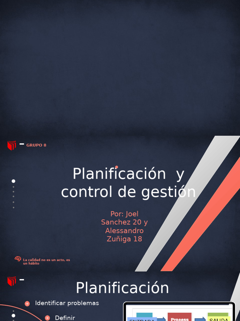 PLANIFICACION DE CONTROL DE GESTION | PDF