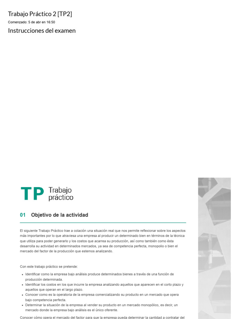 Examen - Trabajo Práctico Economia 80% 2 (TP2) | PDF | Monopolio | Business