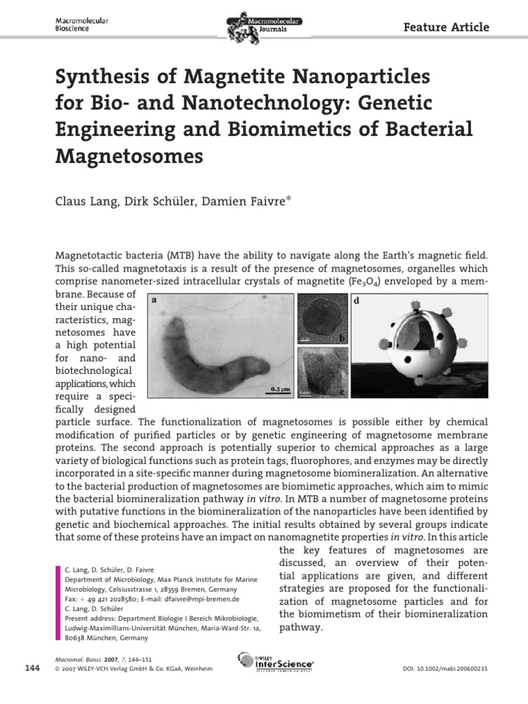 Synthesis of Magnetite Nanoparticles For Bio - and Nanotechnology Genetic Engineering and ...