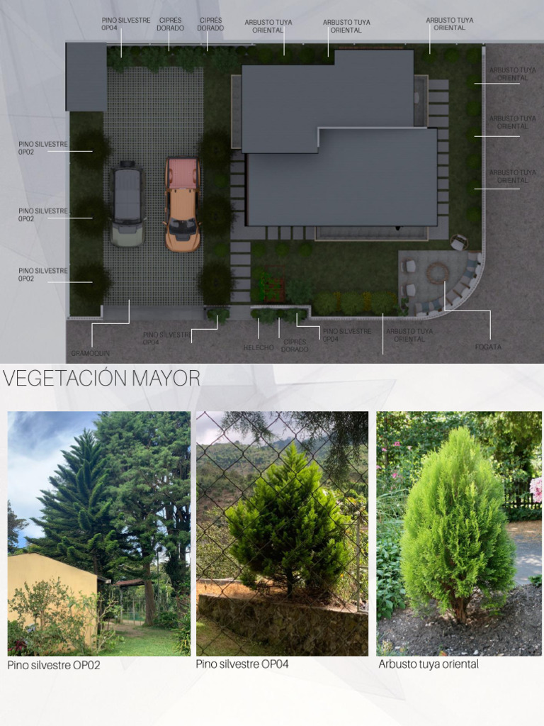 VEGETACION PDF | PDF