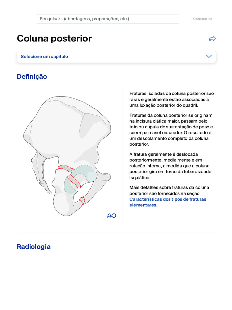 Posterior column | PDF