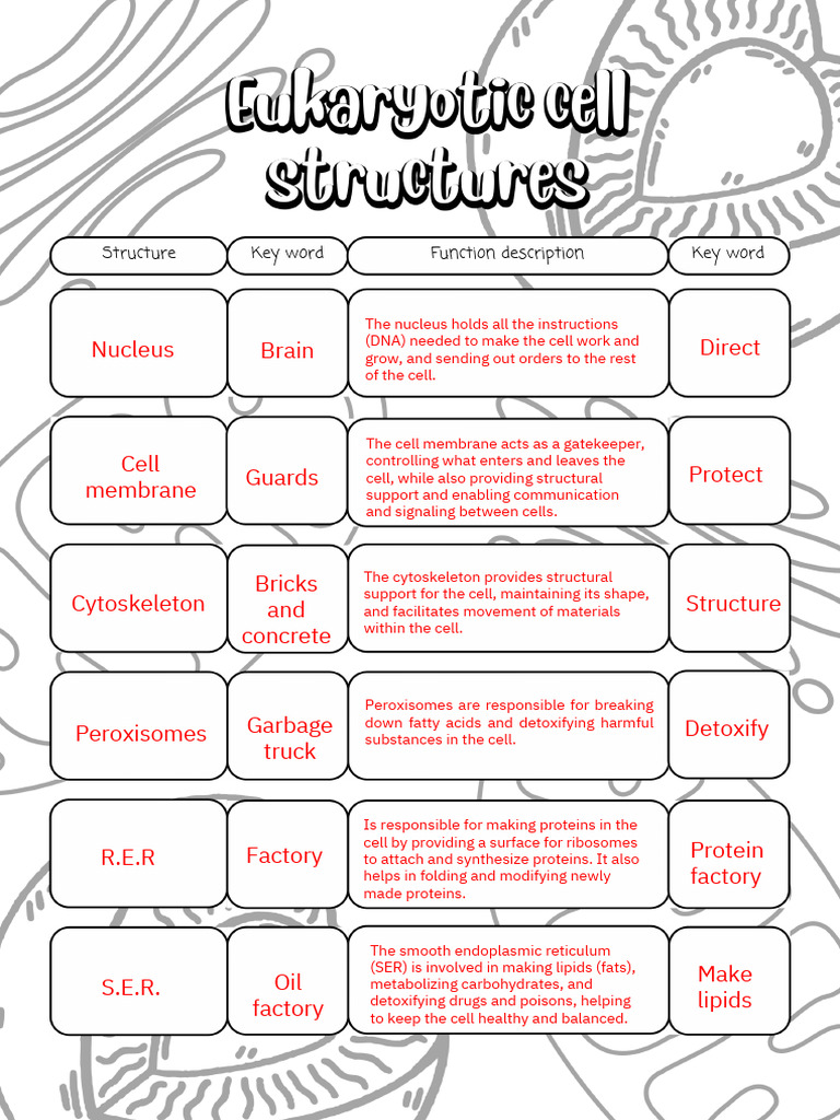 Class 5 Eukaryotic Cell Structures- ANSWERS | PDF | Cell (Biology ...