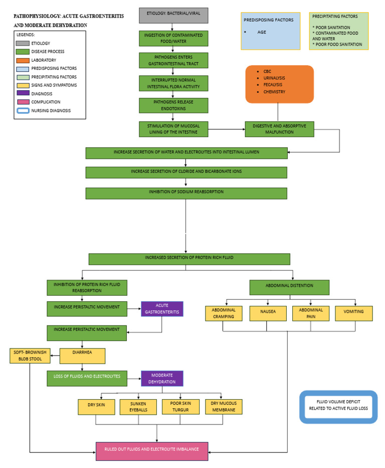 Pathophysiology of Acute Gastroenteritis | PDF | Gastrointestinal Tract ...