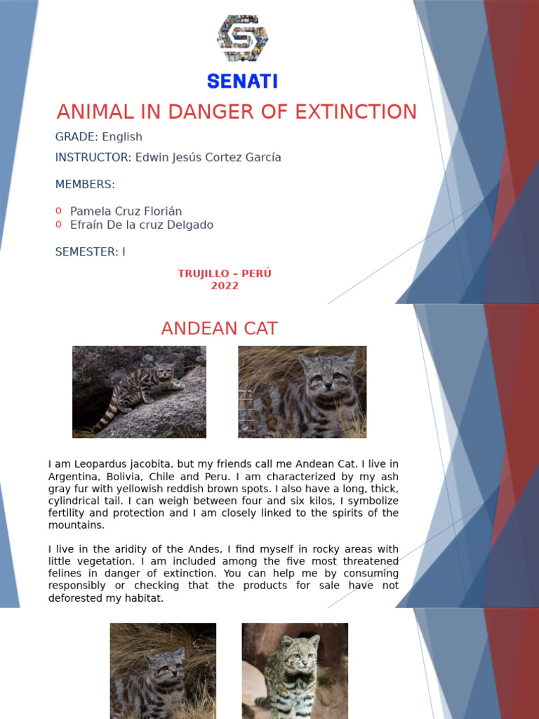 Animal in Danger of Extinction | PDF