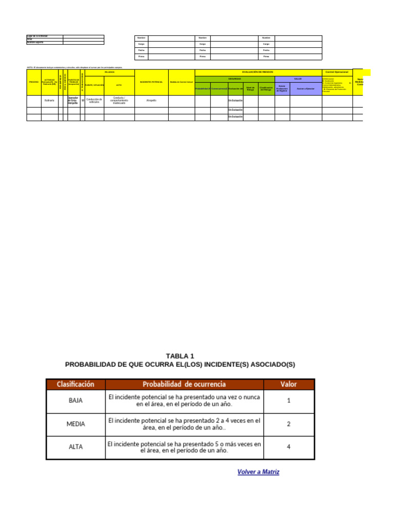 Formato Miper | PDF | Riesgo | Estrés (biología)