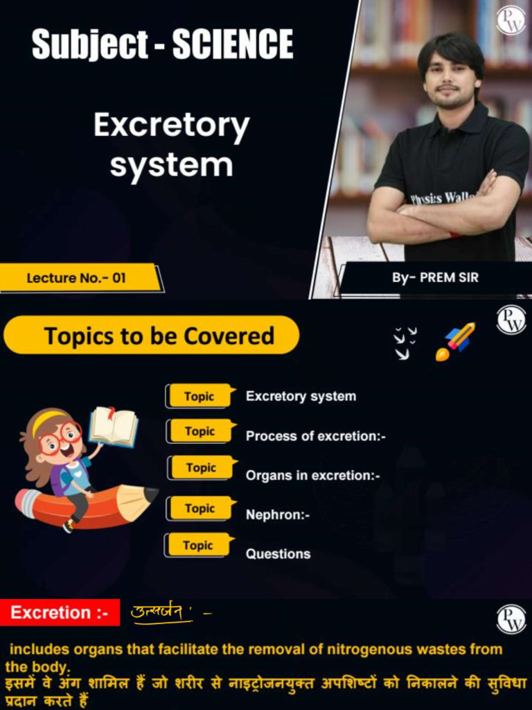 Excretory System 01 - Class Notes | PDF