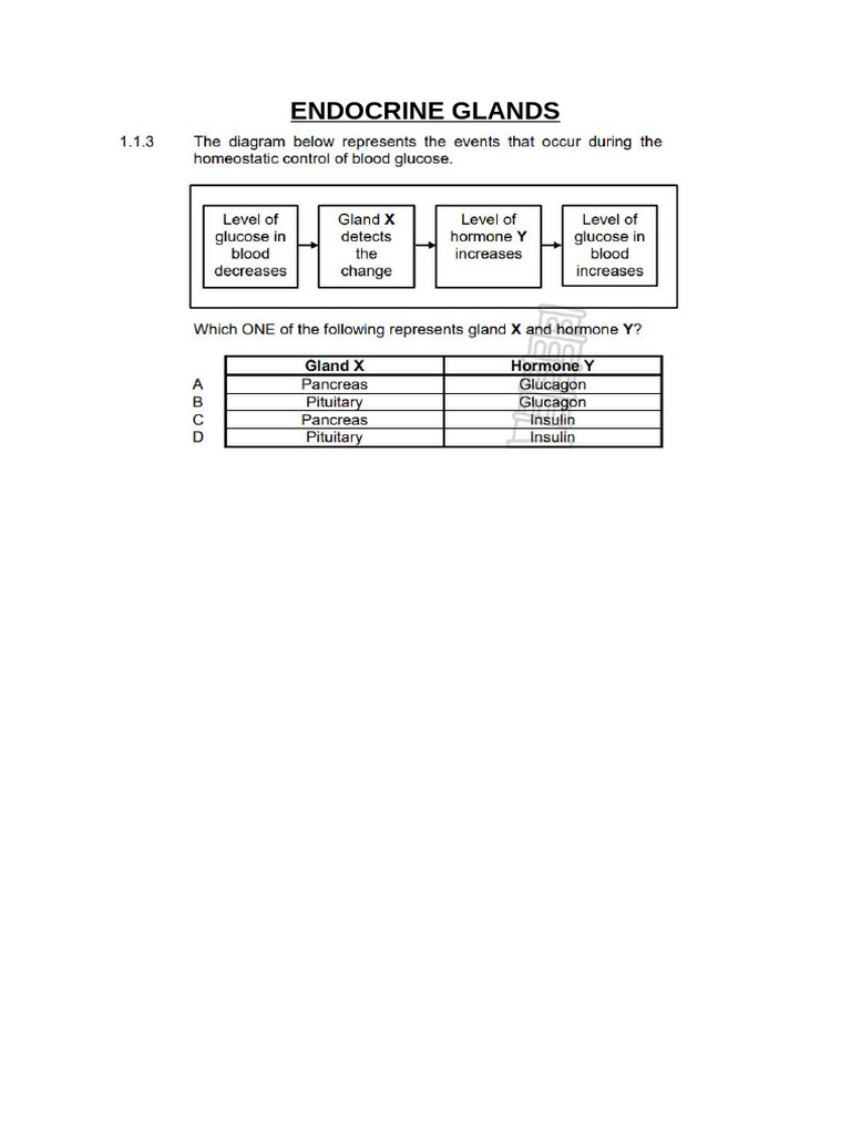 ENDOCRINE GLANDS (Practise Questions) | PDF