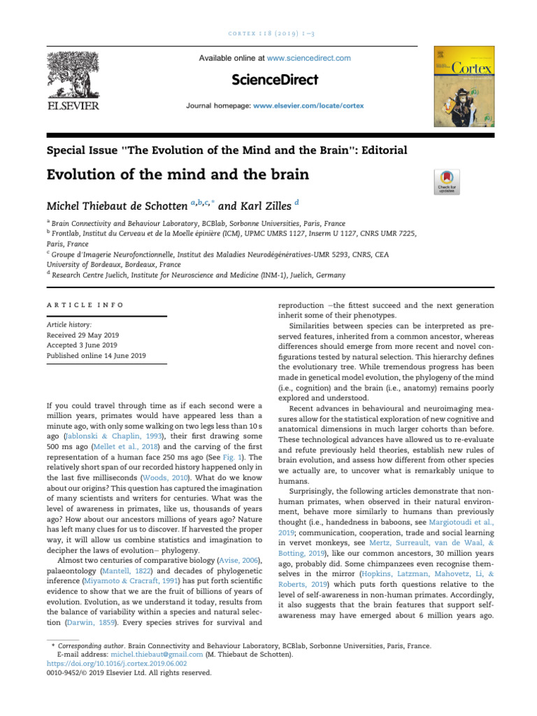 Evolution of The Mind and The Brain | PDF | Cerebral Cortex | Brain