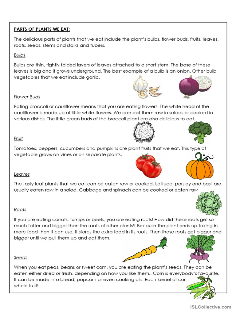 Edible Parts of Plants Explained | PDF | Fruit | Vegetables