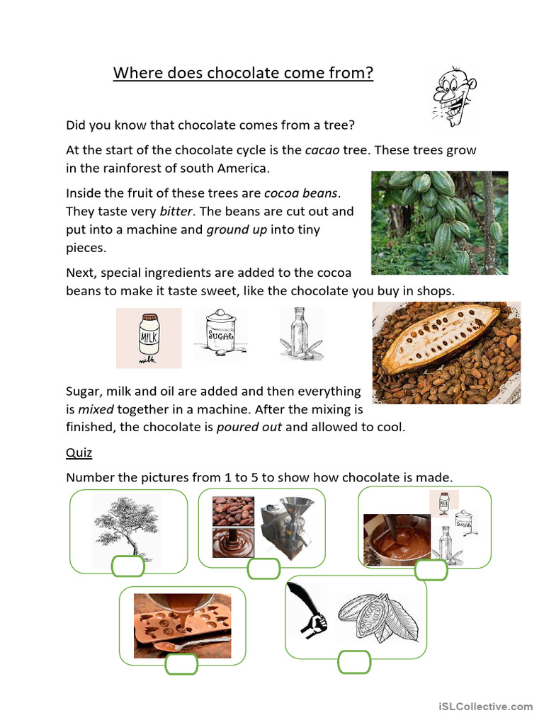 Where does chocolate come from_ | PDF