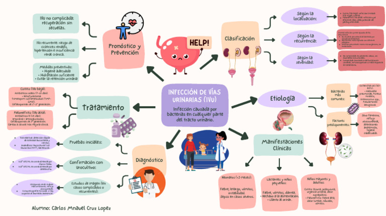 Guía Completa sobre Infecciones de Vías Urinarias | PDF | Infección del ...