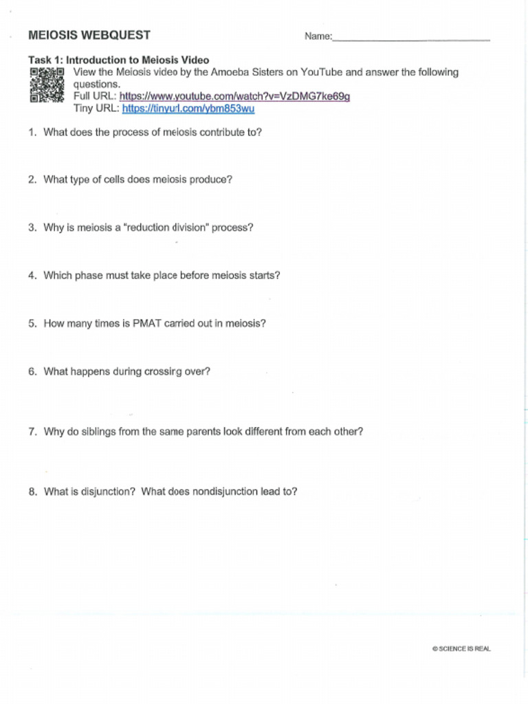 Meiosis Webquest | PDF