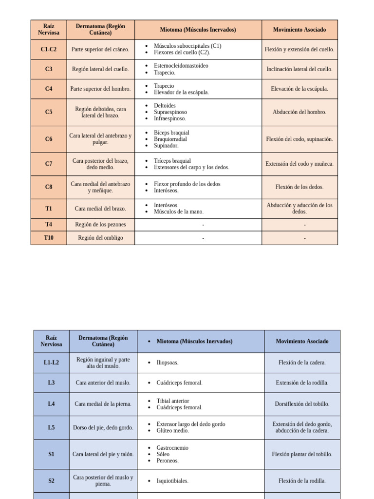 Dermatomas Miotomas | PDF | Codo | Anatomía de los primates