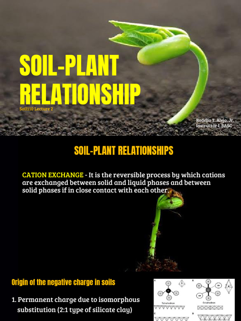 Soil-Plant Relationship Overview | PDF | Plant Nutrition | Nutrients